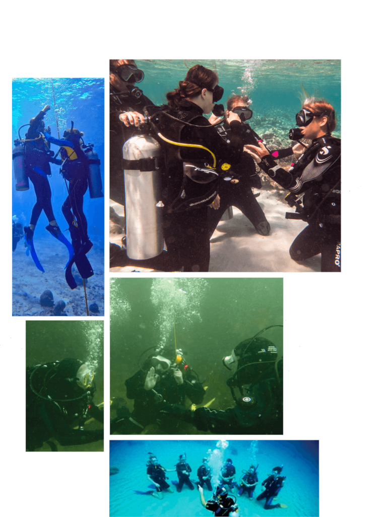 PADI Divemaster Internship with Excel Scuba Tenerife